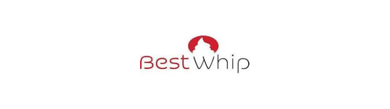 Best Whip